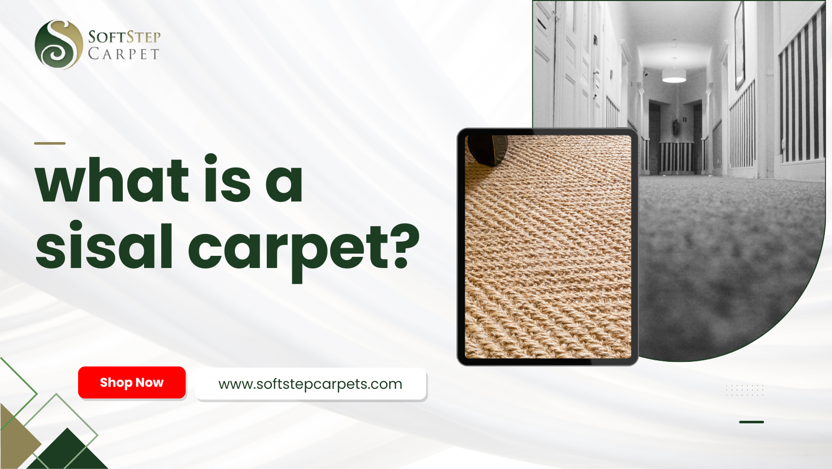 What is Sisal Carpet? Benefits and Features Explained